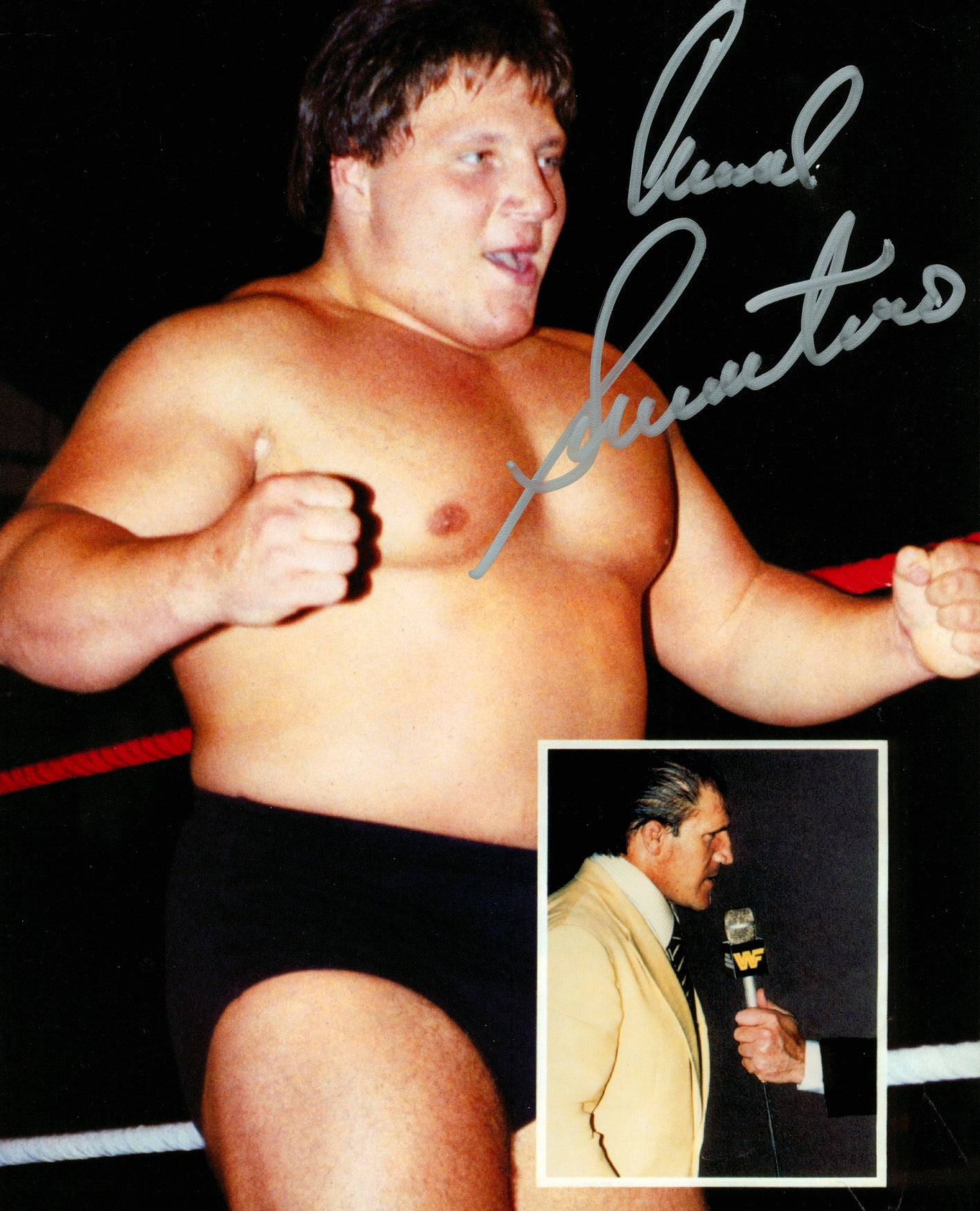 David Sammartino signed 8x10 Photo – Signed By Superstars