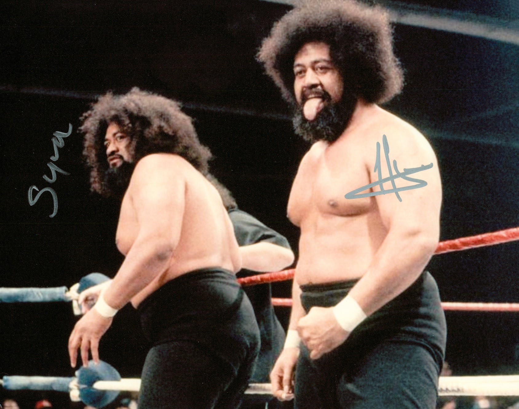 Wild Samoans - Afa & Sika dual signed 8x10 Photo – Signed By Superstars